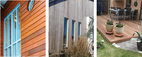 Inspiration - Cederträ i Väst